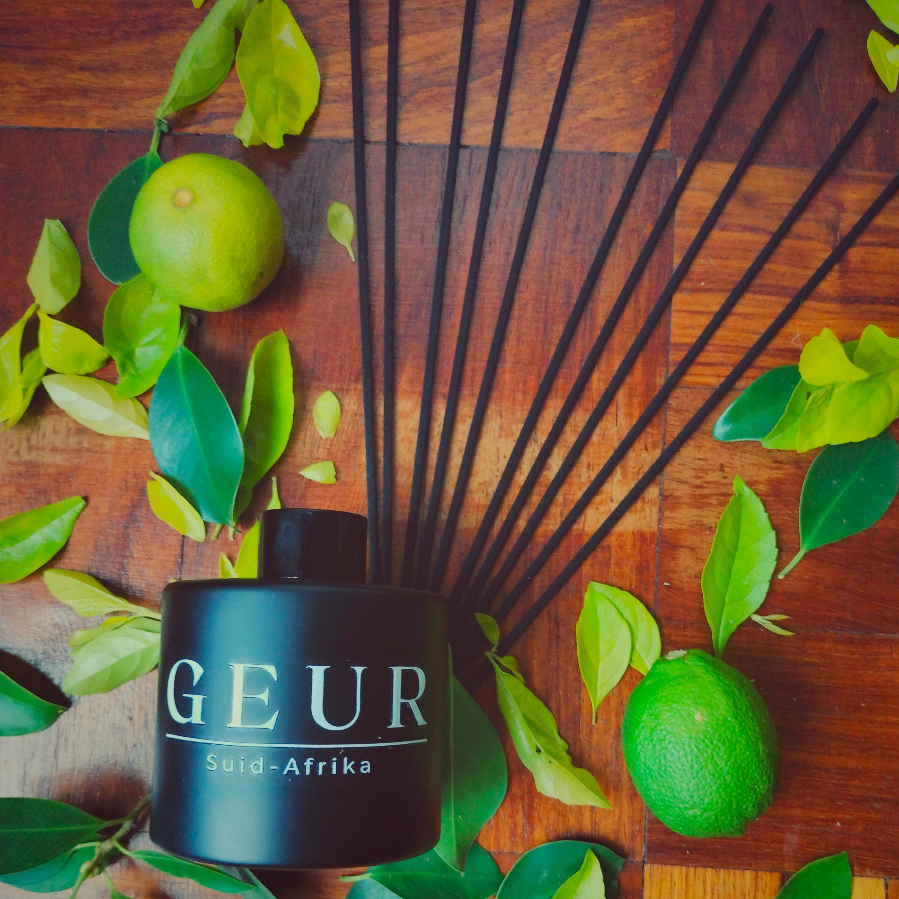 GEUR Tuis – GEUR SA